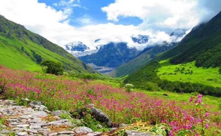Experience of Heaven- The Valley of Flower National Park